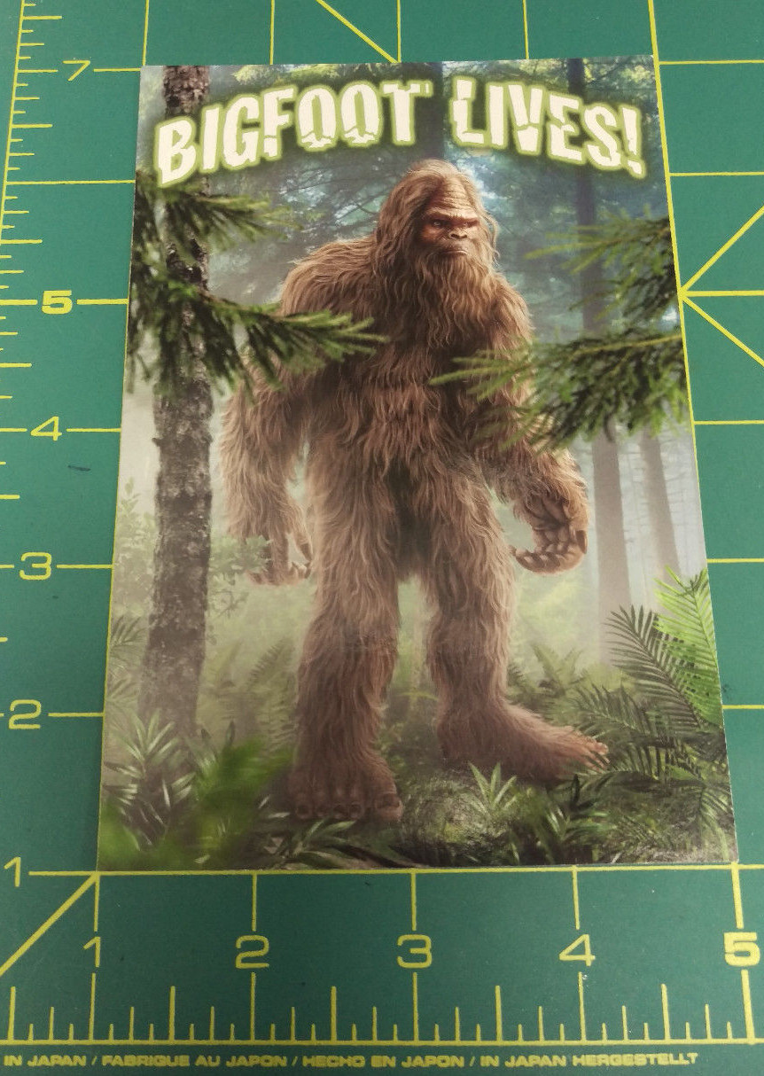 Bigfoot Lives Postcard - New / Unused - Sasquatch pictured on front of ...