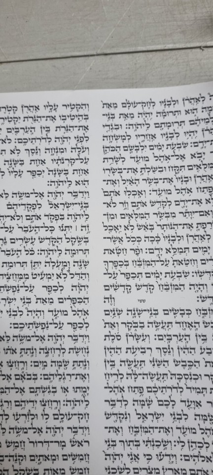 HUGE Judaica Beautiful Sefer Big Torah Scroll Hebrew Jewish Bible 61 CM ...