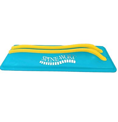 Spine-Worx Spinal Alignment System Back Realignment Device Back Support ...