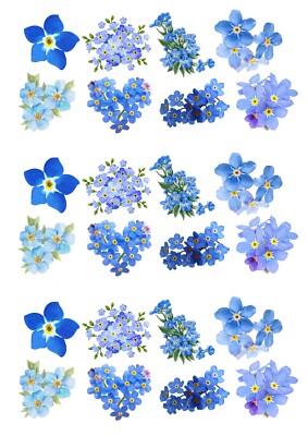 24 Mixed Forget Me Not Blue Flower Edible Wafer Paper Cake Toppers ...