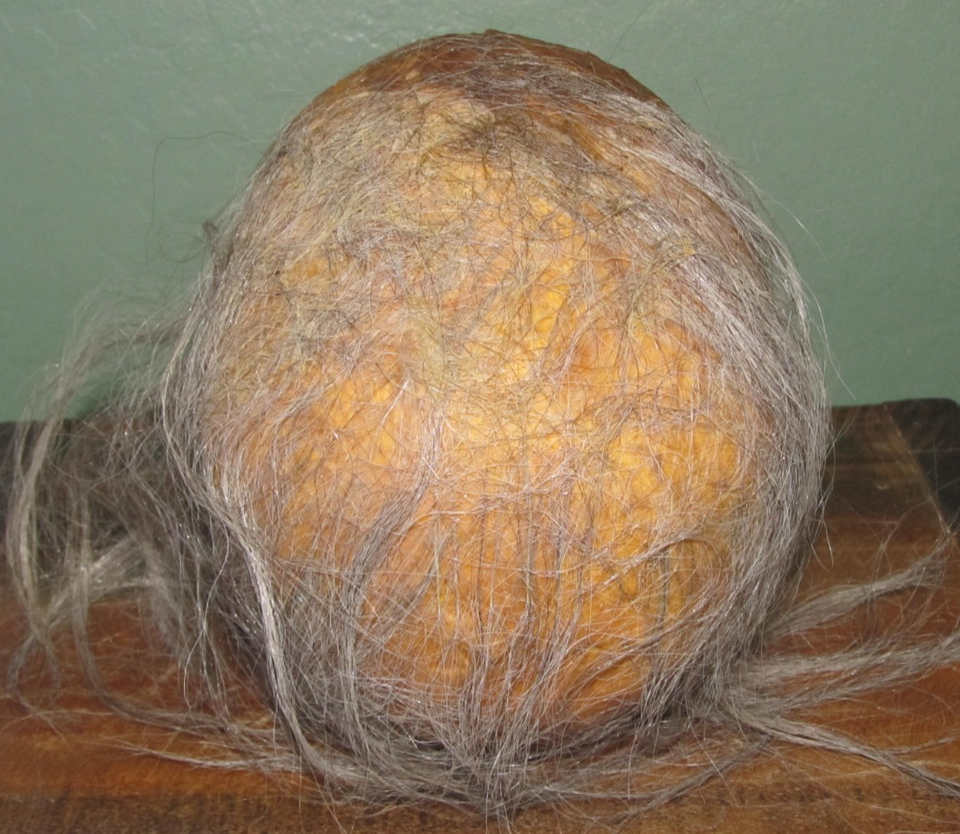 REALISTIC HORROR MUMMIFIED HALLOWEEN PROP SIDESHOW GAFF ROT SKULL SCARY ...