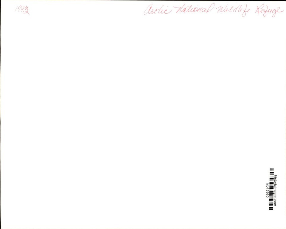 1993 Press Photo Explorers in the Arctic National Wildlife Refuge break ...