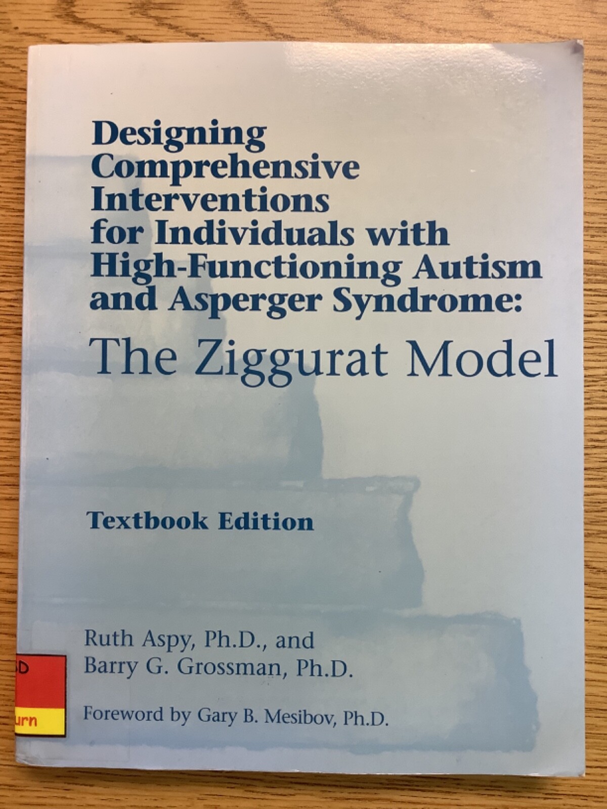 Ziggurat Model Autism