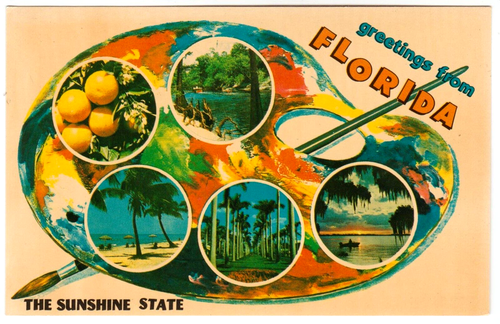 Postcard "Greetings from Florida - The Sunshine State" | eBay