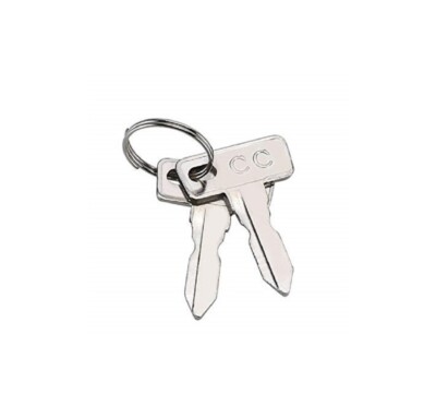 Club Car Golf Cart Keys In Bulk (100) | eBay
