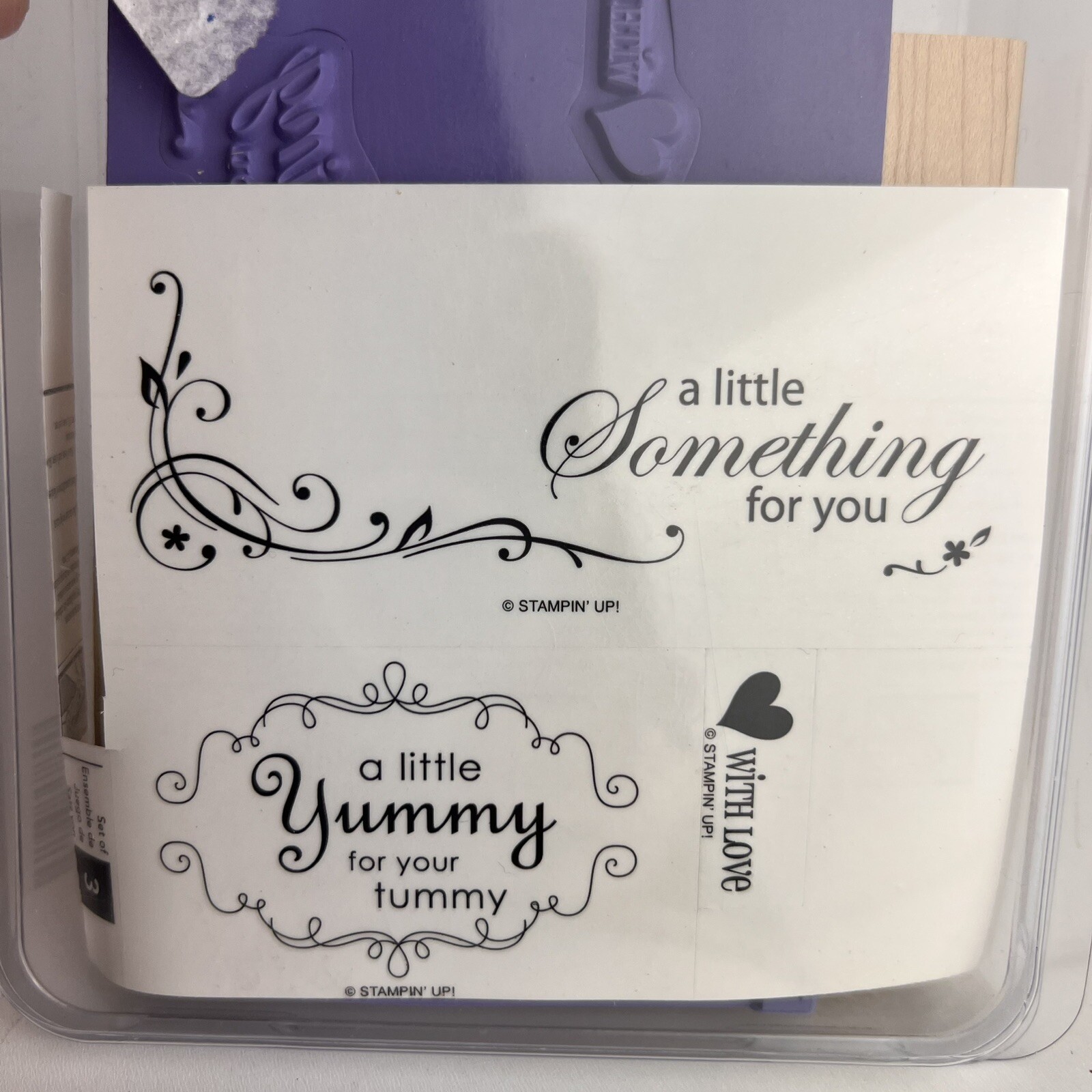 2009 Stampin up Yummy Retired Stamp Set 113782 for sale online | eBay