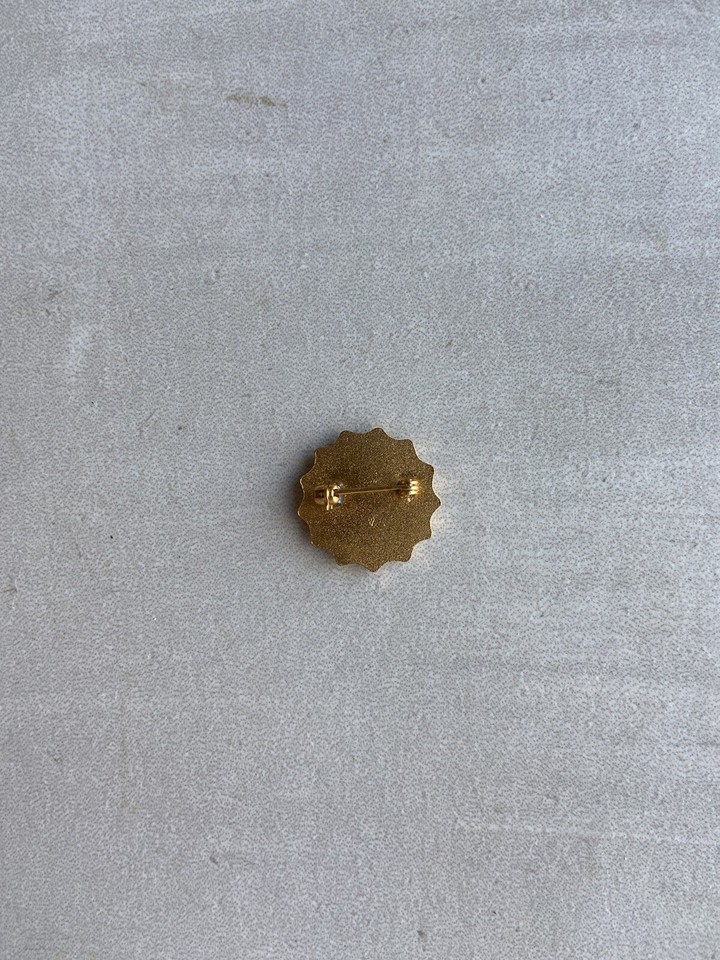 DAR Good Citizen Pin Lapel Gold Tone Enamel Collectible | eBay