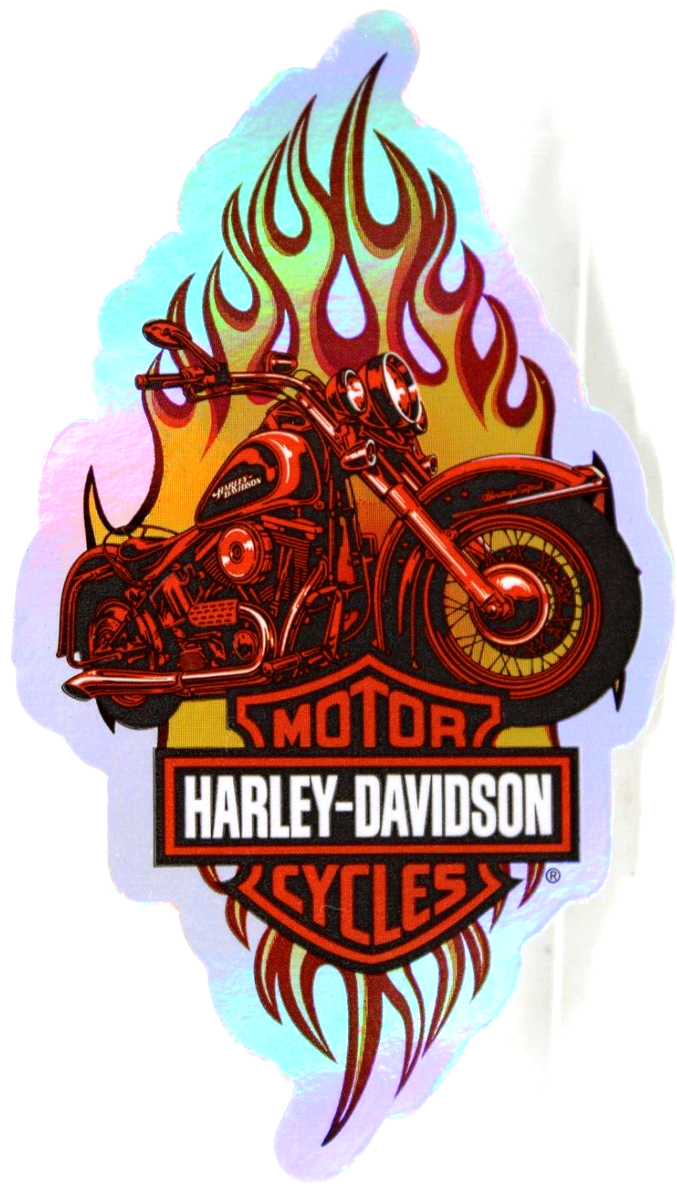 Harley Davidson Logo With Flames Drawings Harley Davidson Flames Skull