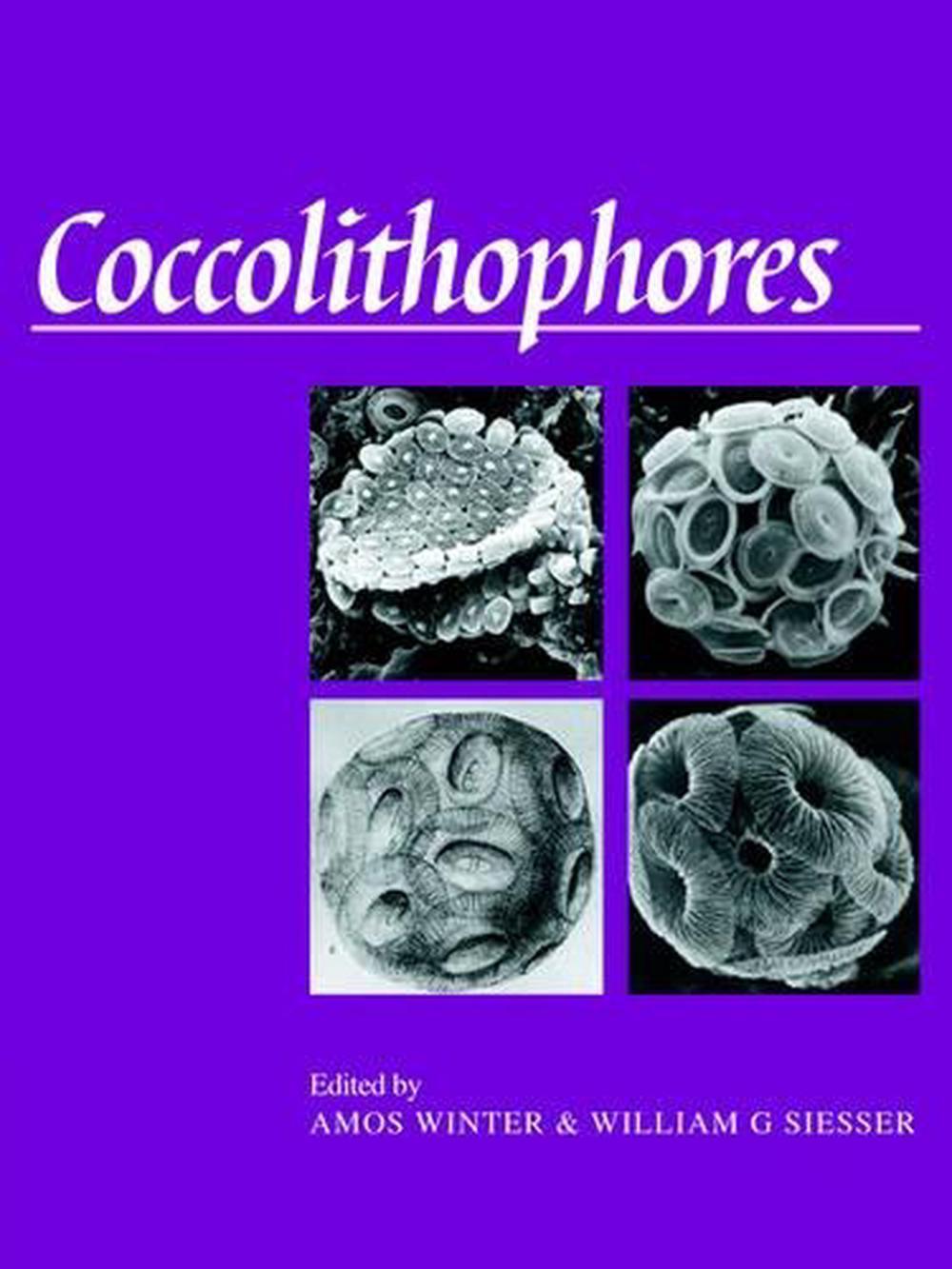 Coccolithophores by Amos Winter (English) Paperback Book 9780521031691 ...
