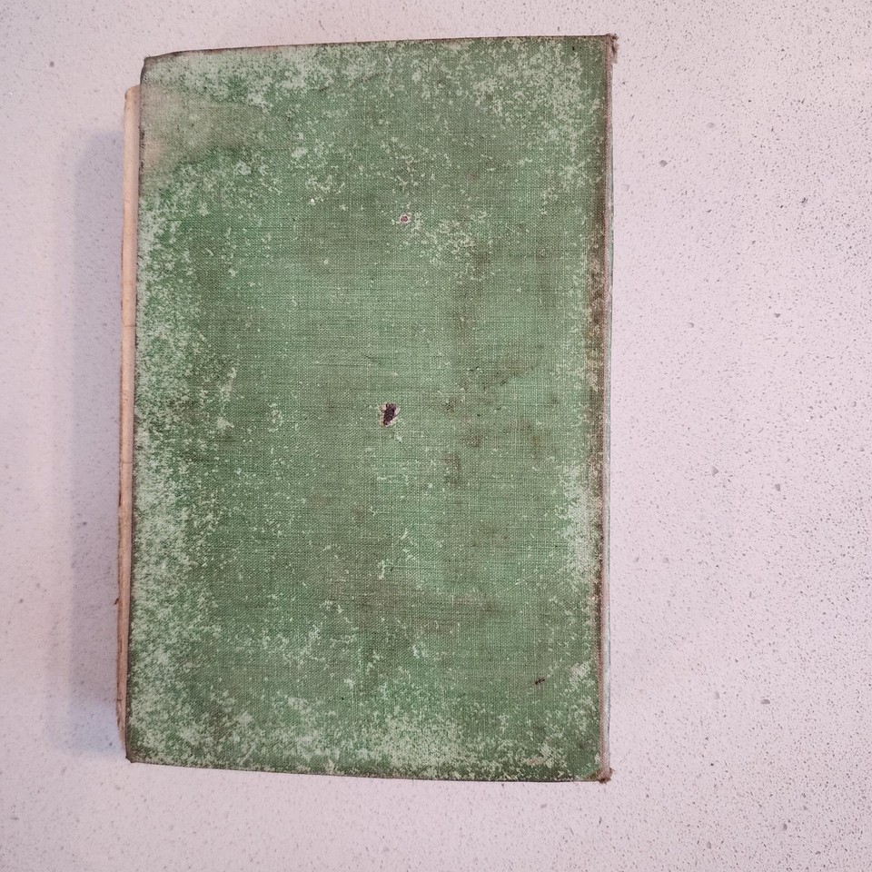 1917 Antique Hardcover- The Great Wet Way - Alan Dale | eBay