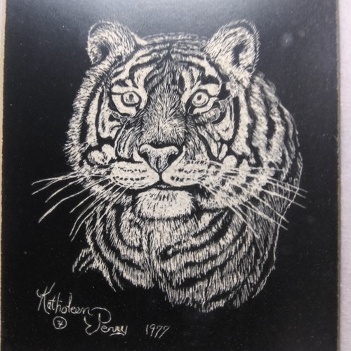 An Excellent Scratchboard Drawing of a Tiger by Katholeen Perry 1977 | eBay