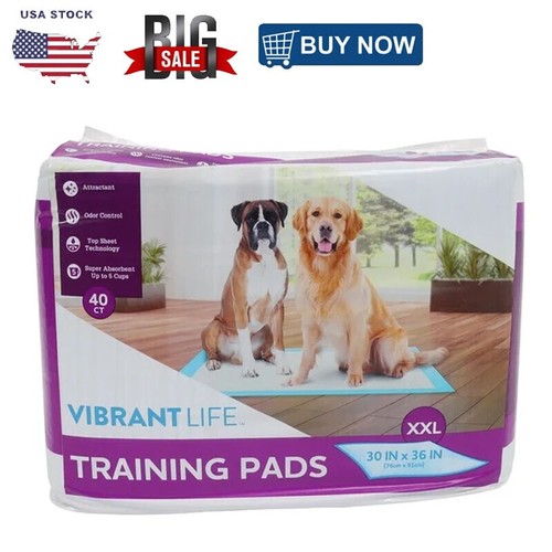 Dog Pet Cat Training Pads, Dog & Puppy Pads 40 Count | eBay