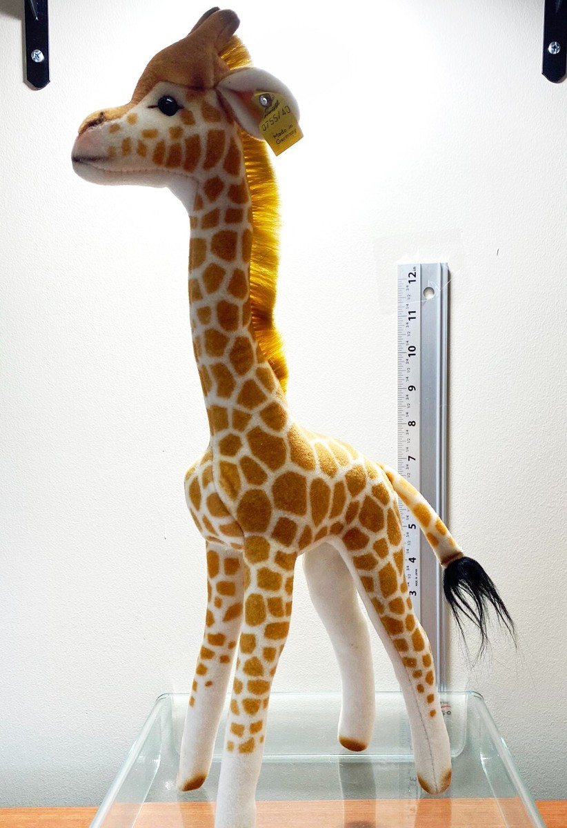 Giraffe 40 Voucher Halloween At Brno Zoo | Zoo Brno