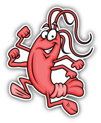 Happy Shrimp Running Animal Car Bumper Sticker Decal - ''SIZES'' | eBay