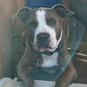 Come Sale Away With Me | eBay Stores