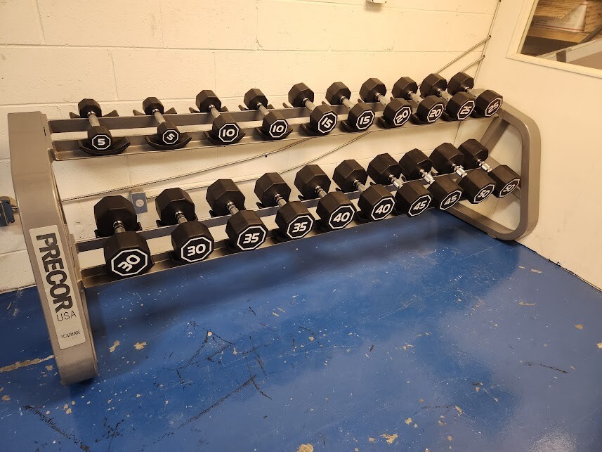 Precor Icarian 2 Tier Saddle Dumbbell Rack (10 Pairs), DUMBBELLS NOT ...