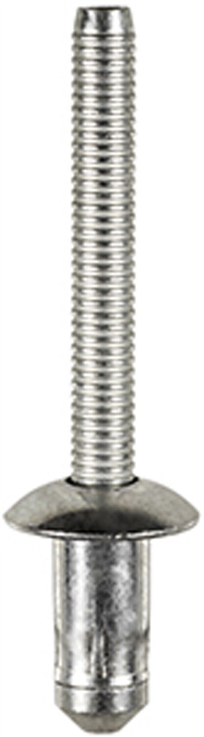 Ford Specialty Rivet W702512-S900C **FREE USA SHIPPING!!! ** A037 | eBay