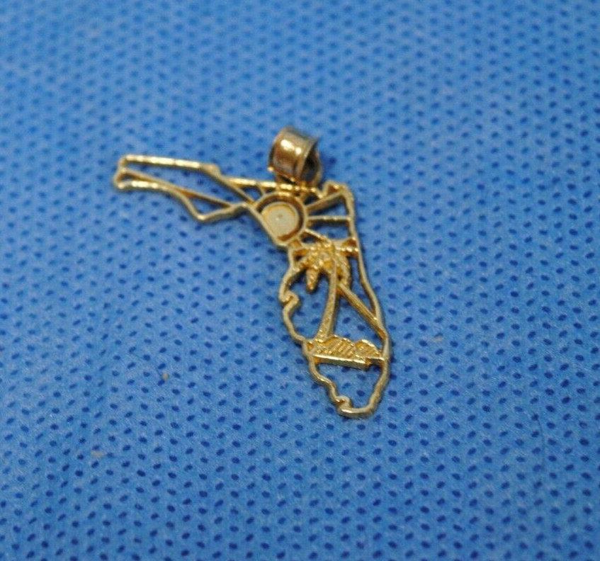 14k Yellow Gold Florida State Map Pendant/Charm - Gem