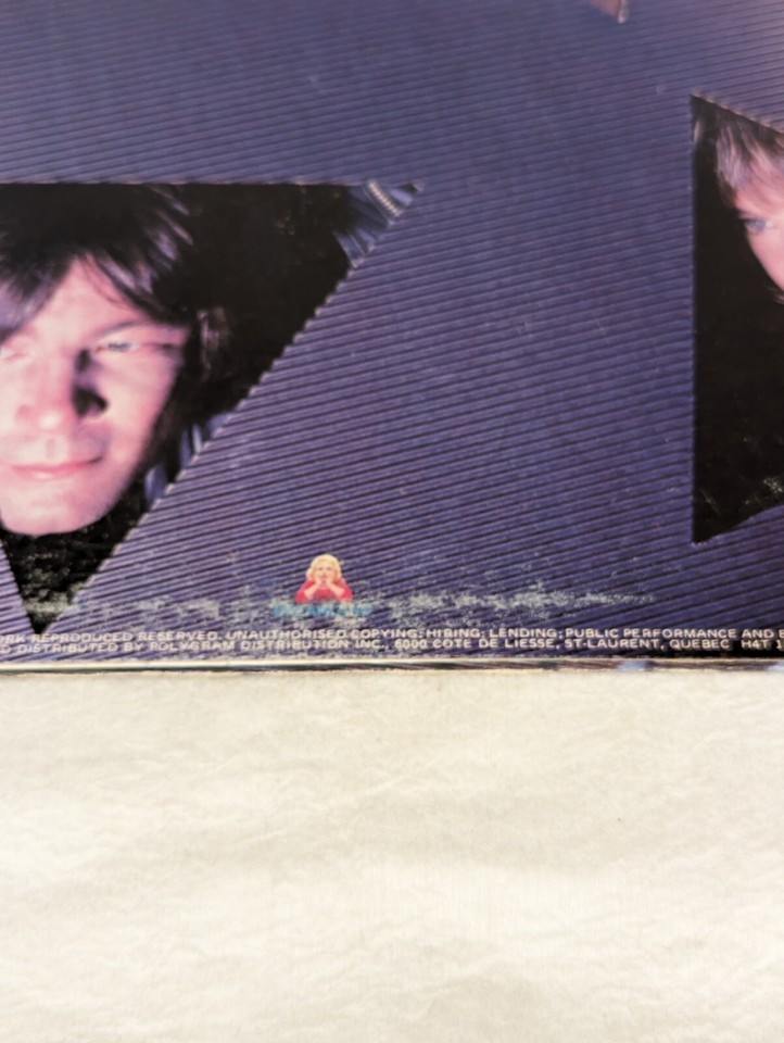 Suzi Quatro Rock Hard LP Dreamland PolyGram Canada Press 1980 | eBay