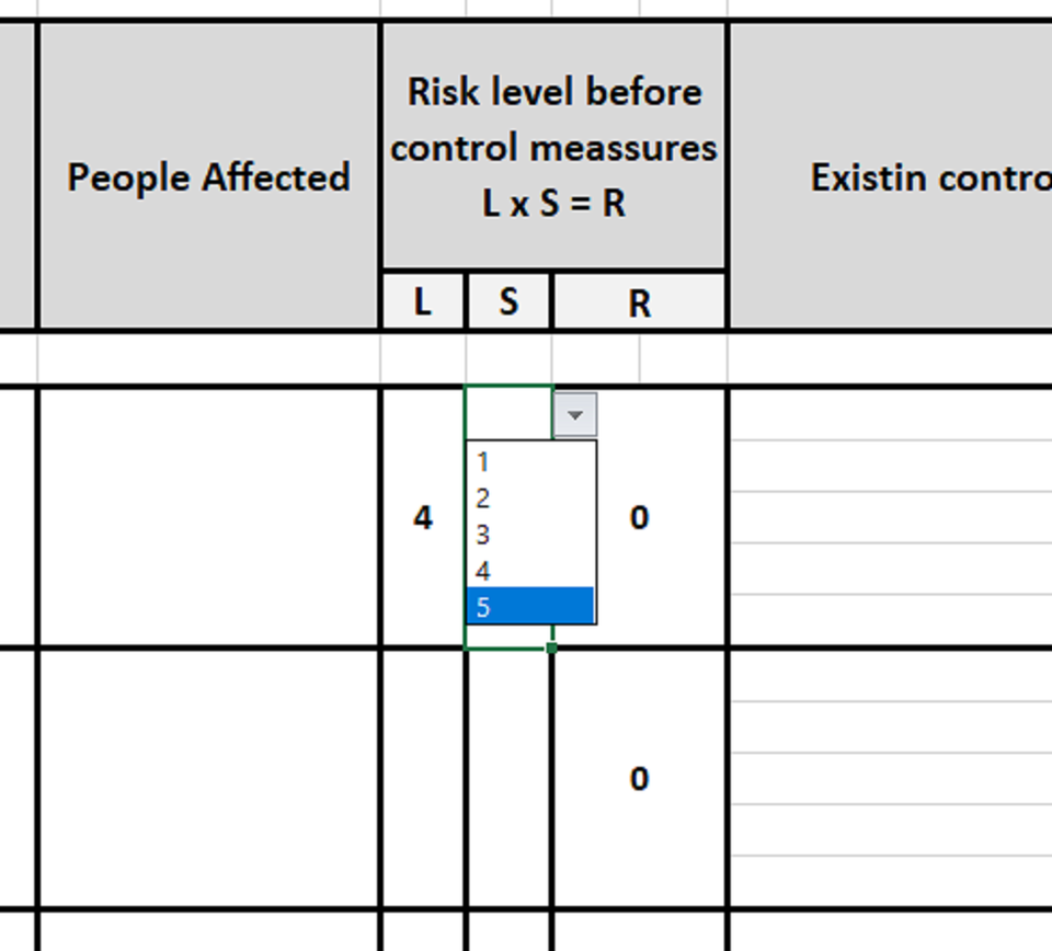 Risk Assessment Template Excel File Editable 5x5 4x4 3x3 | eBay UK