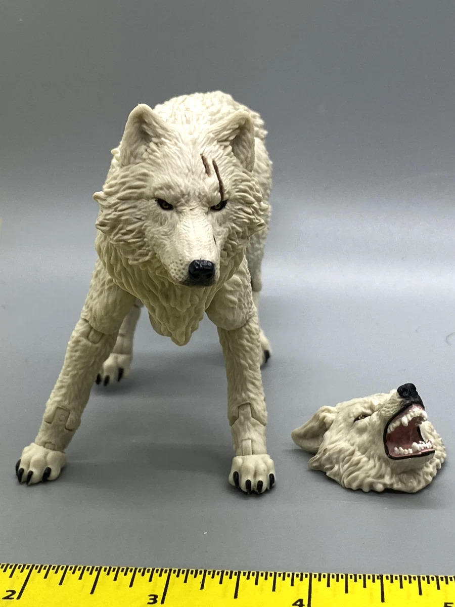 All White Timberwolf Dog Alaskan Siberian Husky And Wolf Mix Timber