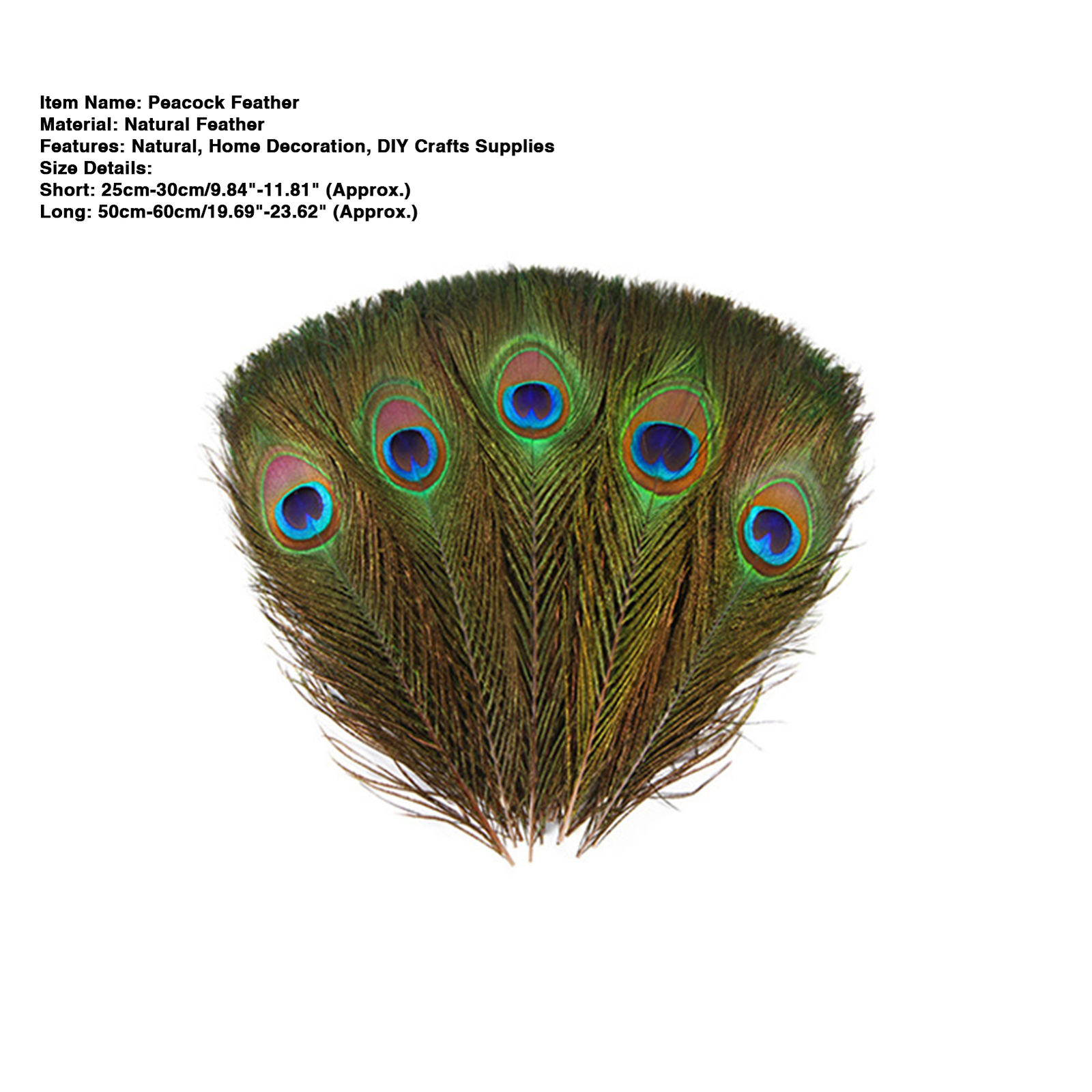 Diy Peacock Feather Lightweight 30pcs Natural Feathers for Projects ...