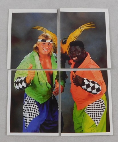 Owen Hart Koko B Ware WWF Merlin Sticker Card Wrestling Wrestler WWE ...
