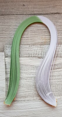50 two tone white and light green graduated quilling paper strips - 5mm ...