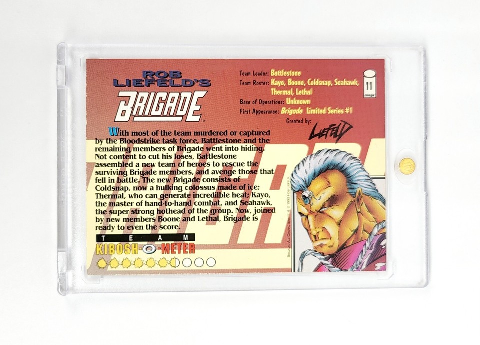 MINT HOLO 1993 Wizard Mag CARD Image Series 2 Promos Brigade #11 Rob ...
