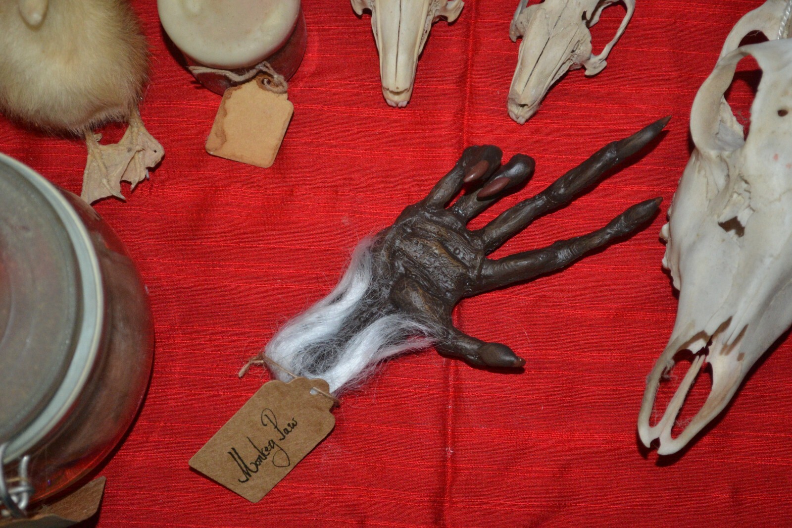 Cursed Creepy The Monkey's Paw Sculpture Horror Replica Prop (White ...