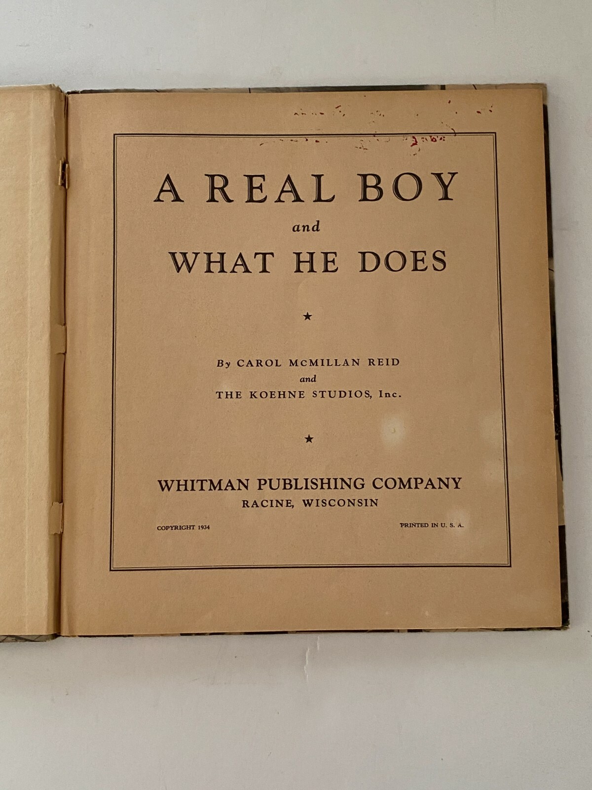 The Real Boy and What He Does By Carol McMillan Reid, 1934 HC Book ...