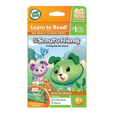 LeapFrog Tag Scout & Friends - A Surprise for Scout Kids Book | eBay UK