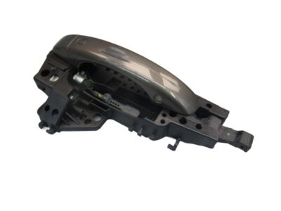 Türgriff Türaussengriff vorne rechts Dakotagrau LY1P für AUDI A6 (4G ...