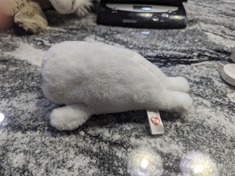 TY Beanie Boo Icy White Seal Beanie Boo 7 Inch | eBay