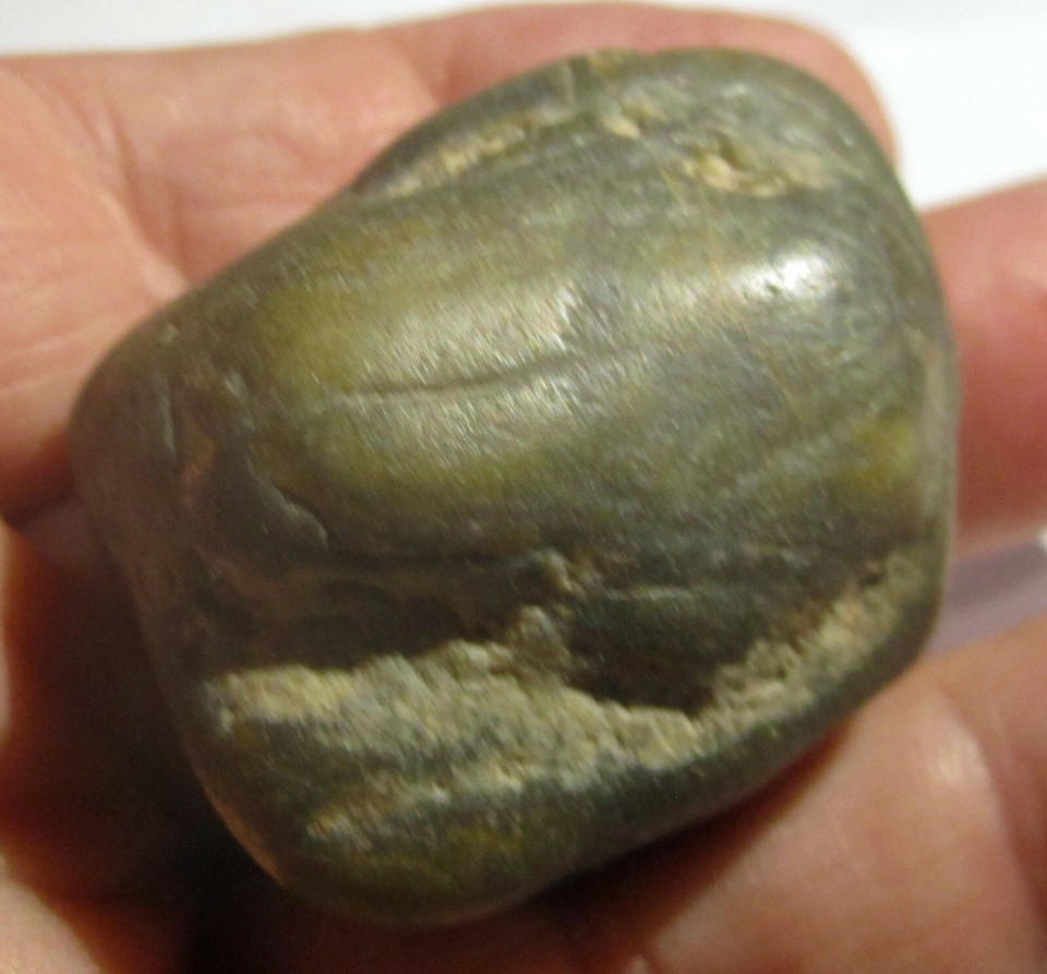 Utah Dinosaur gastrolith (stomach stone or gizzard stone) 1.6 ounce ...