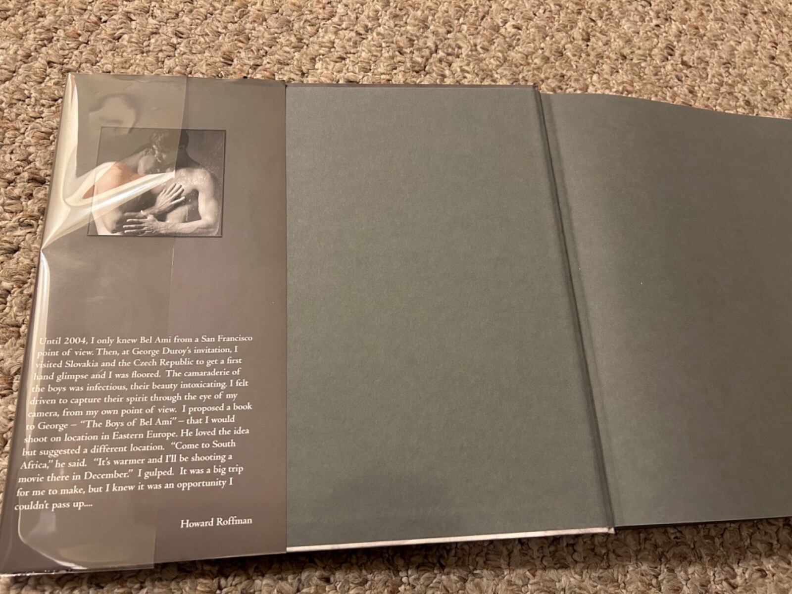 Boys of Bel Ami by Howard Roffman (2006, Hardcover) for sale online | eBay