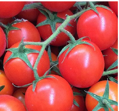 Tomate Red Cherry ( 400 semillas aprox) seeds | eBay