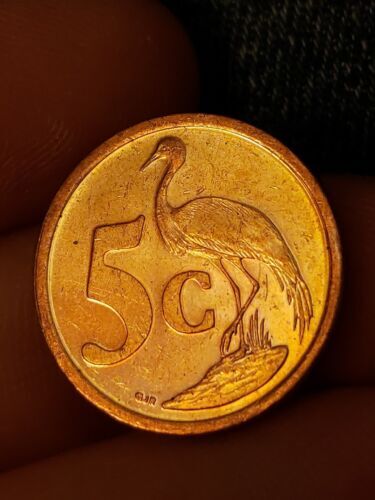South Africa Suid Africa 5 Cents 2008 BEAUTIFUL COLLECTIBLE XF Kayihan ...