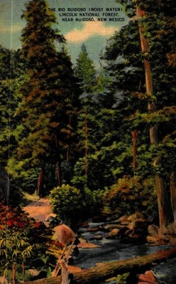The Rio Ruidoso, Lincoln Nat'l Forest, Near Ruidoso, New Mexico Vintage ...