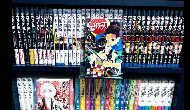 DAISO JAPAN Manga Display Shelf x 10 set comics displayed like book ...