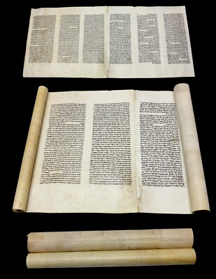 Books & Manuscripts - Vellum Bible