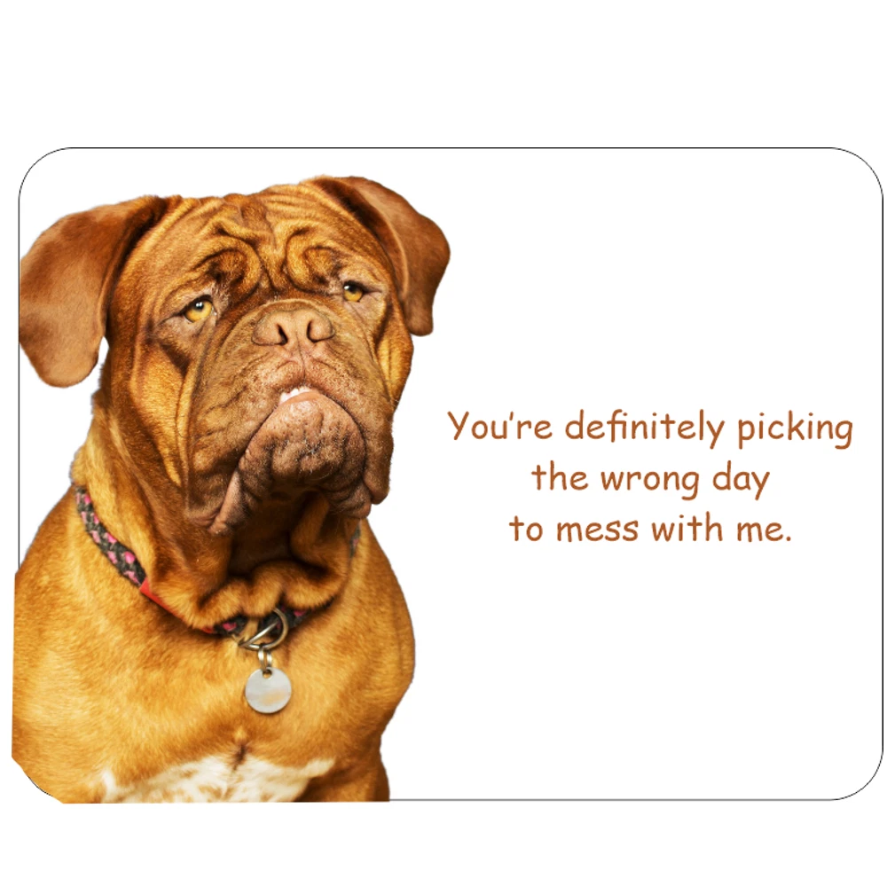 Grumpy Dog