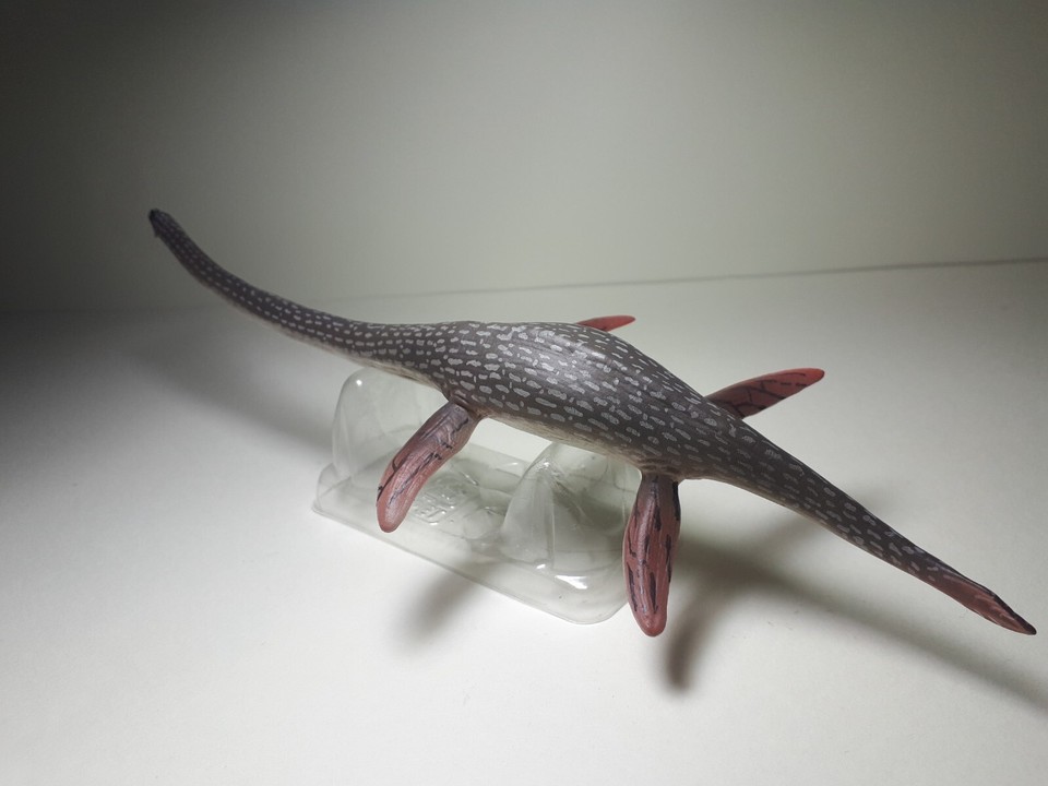 2021 NEW Collecta Dinosaur Toy / Figure Elasmosaurus | eBay