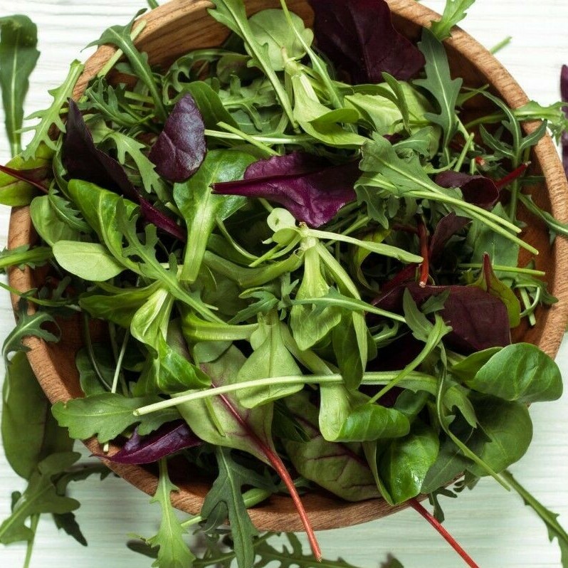 BABY LEAF SALAD Mix 250+ Seeds CUT & COME AGAIN vegetable garden ALL ...