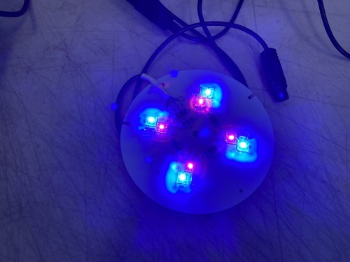 Main Multi-Colored Light 12 LED IQ2020 Eagle Control Box 74930 Hot ...