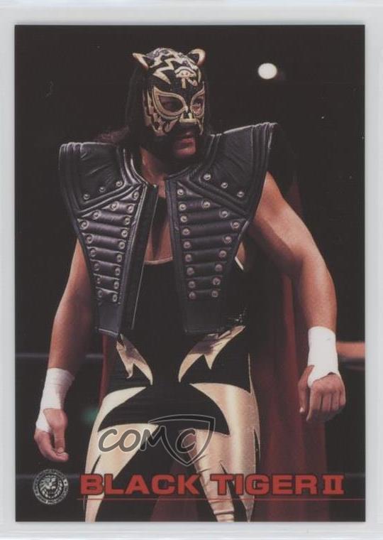 Black Tiger Wrestler