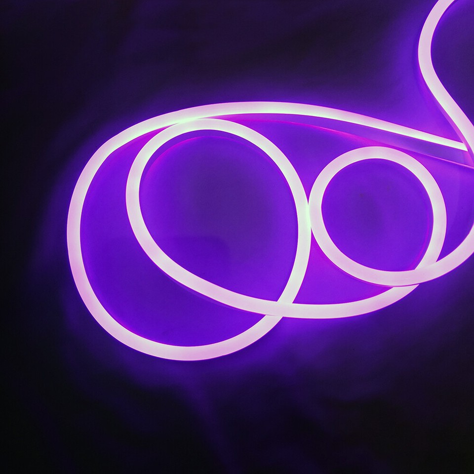 110V LED Flex Neon Rope Lights Strip Party Bar Garden DIY Sign Decor ...