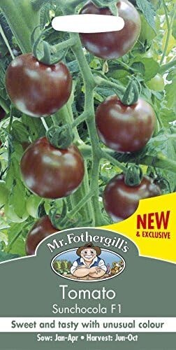 Mr Fothergills Tomato seeds Sunchocola F1 10 Seeds sow before 2027 ...
