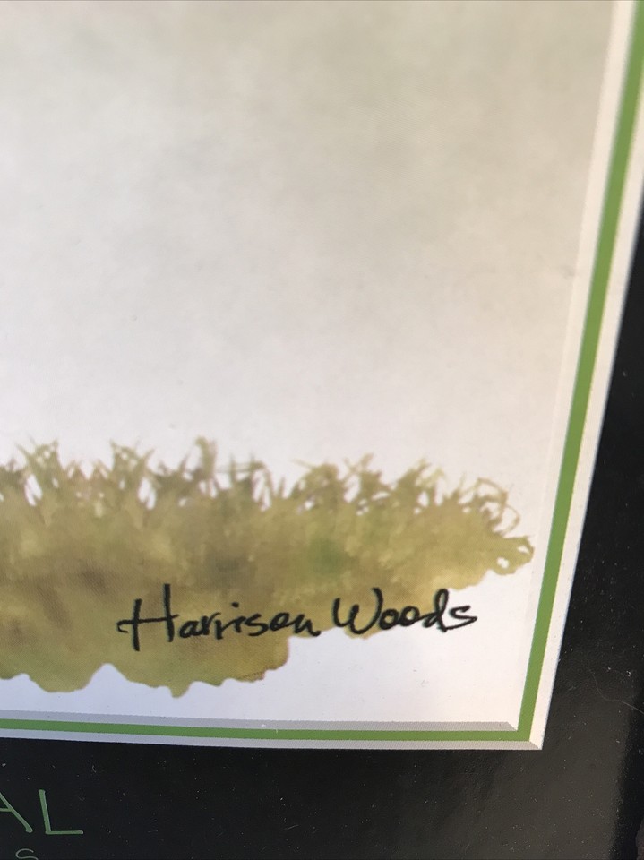 HARRISON WOODS PRINTS | eBay