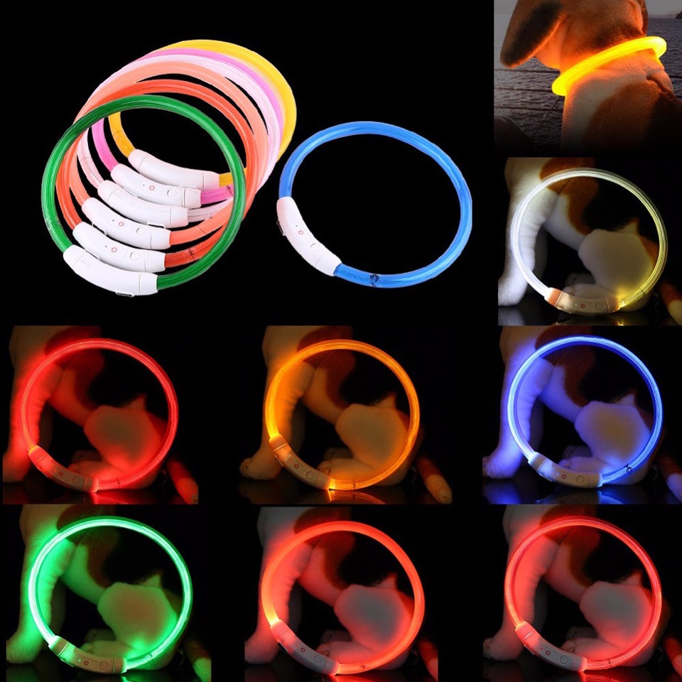 RECHARGEABLE LED Light-up Flash GLOW COLLAR Dog Pet Safety MICRO USB ...
